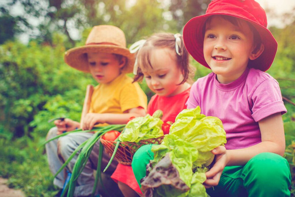 Stephanie Alexander Kitchen Garden Program – The Farmhouse